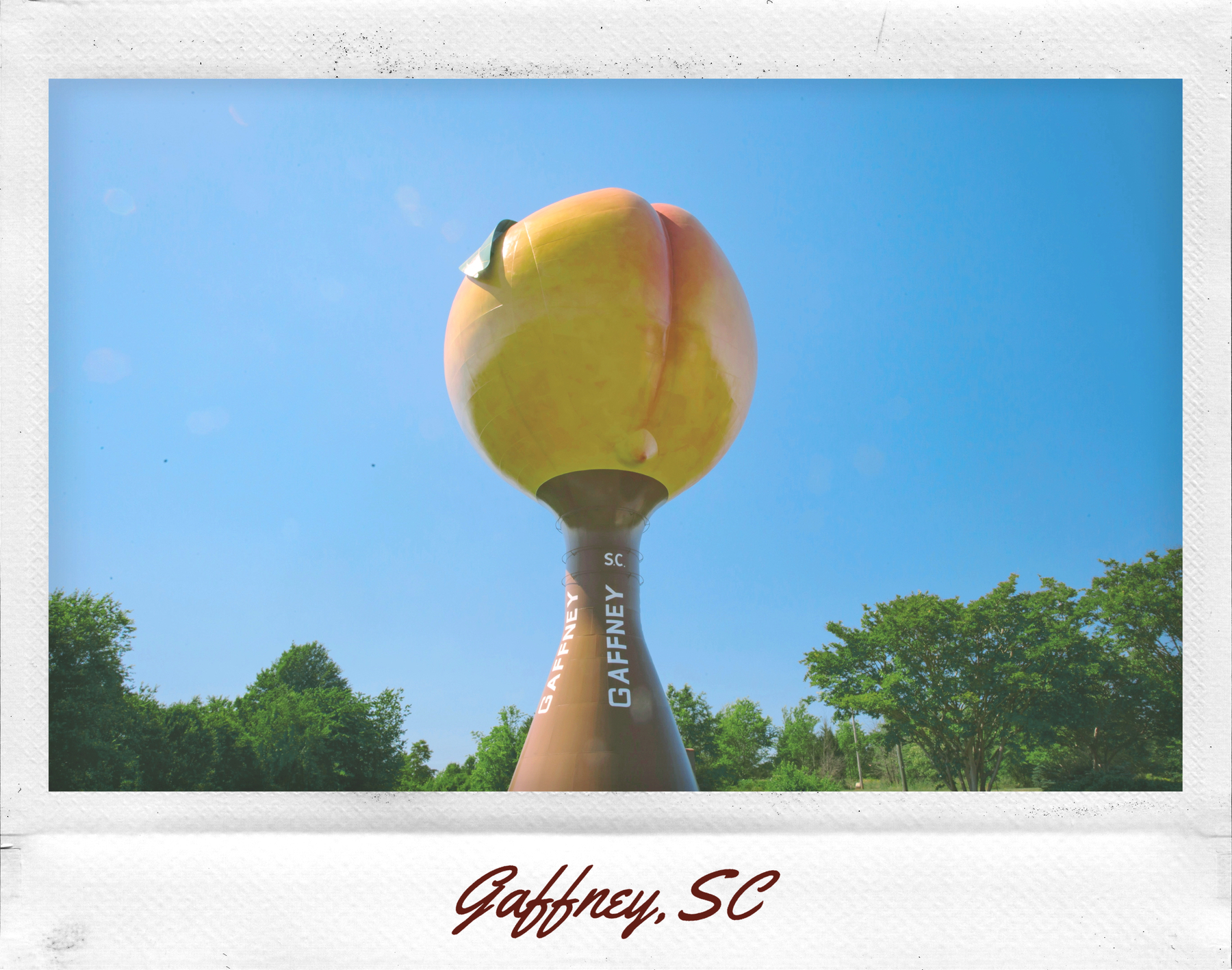 South Carolina Peach Festival | Gaffney, SC | About The Fest